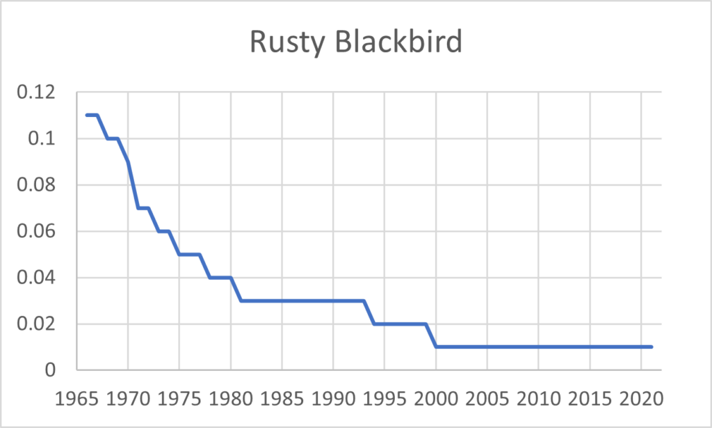 Rusty Blackbird - NH Audubon