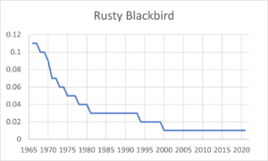 Rusty Blackbird - NH Audubon